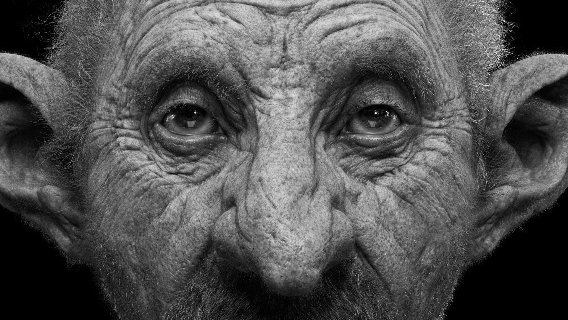 Greg Strangis - BFG Project