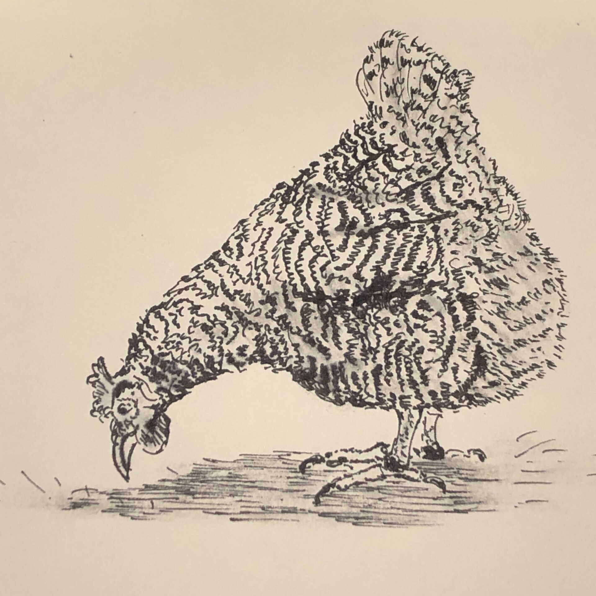 ArtStation - Scratch