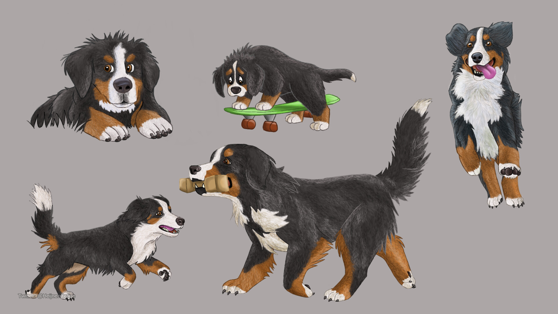 ArtStation - Bernese Mountain Dog