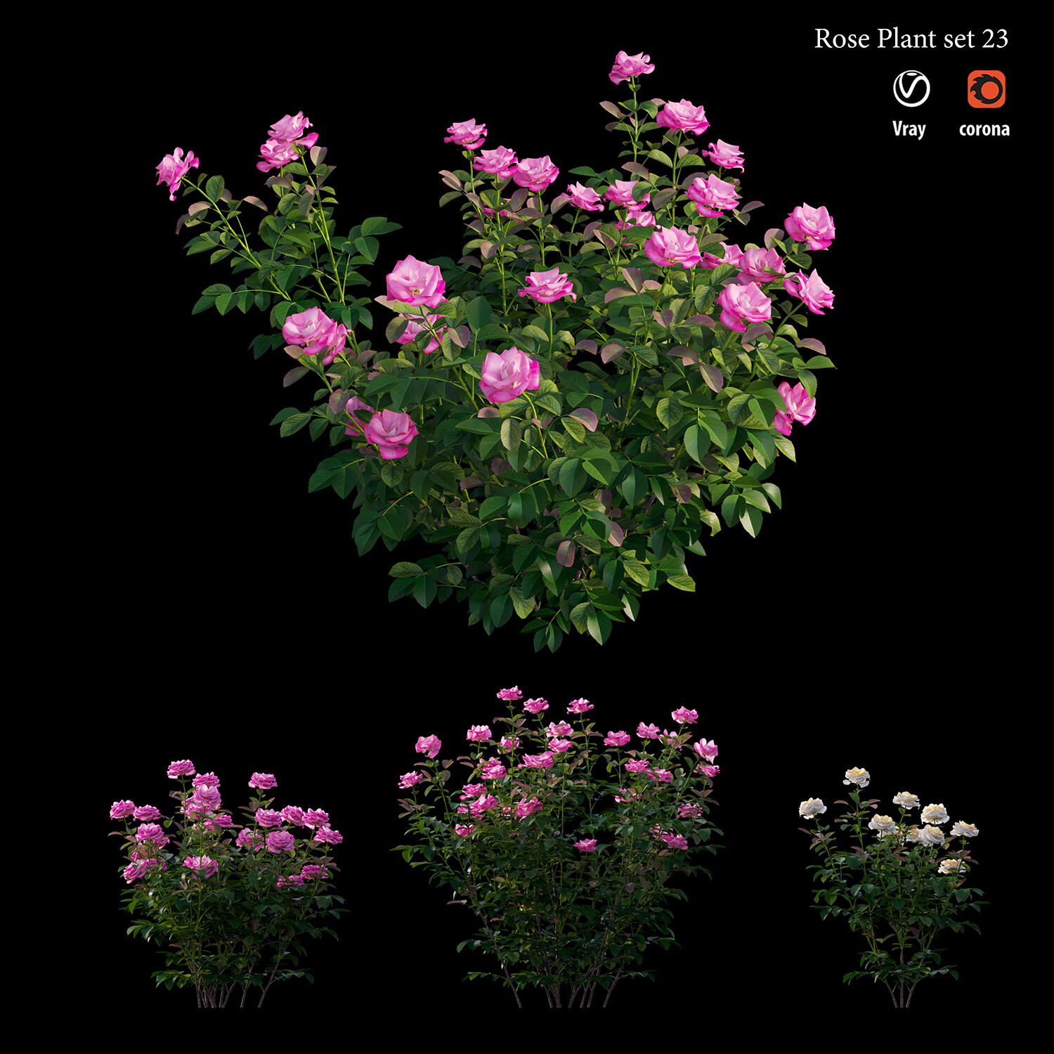 ArtStation - Rose plant set 23