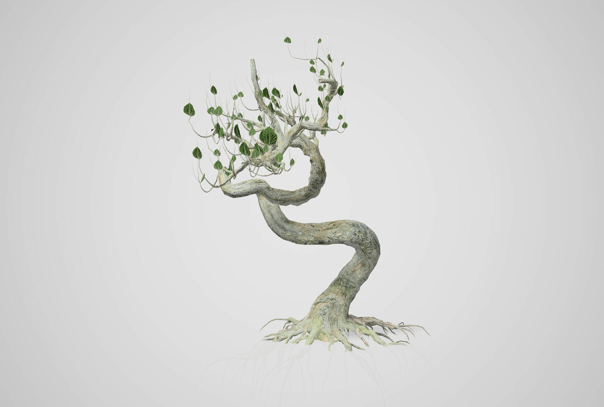 ArtStation - Tree_Model