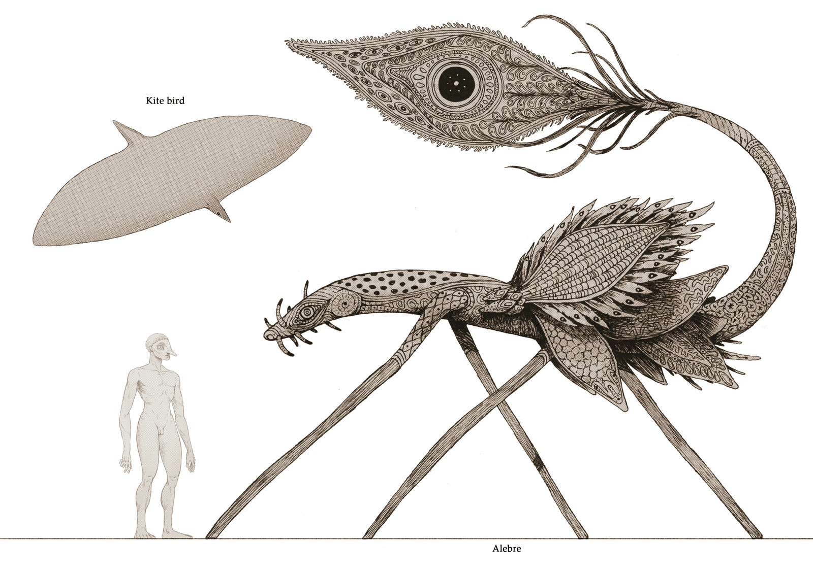 Lucas Roussel - Rust and Humus - Bestiary Part I