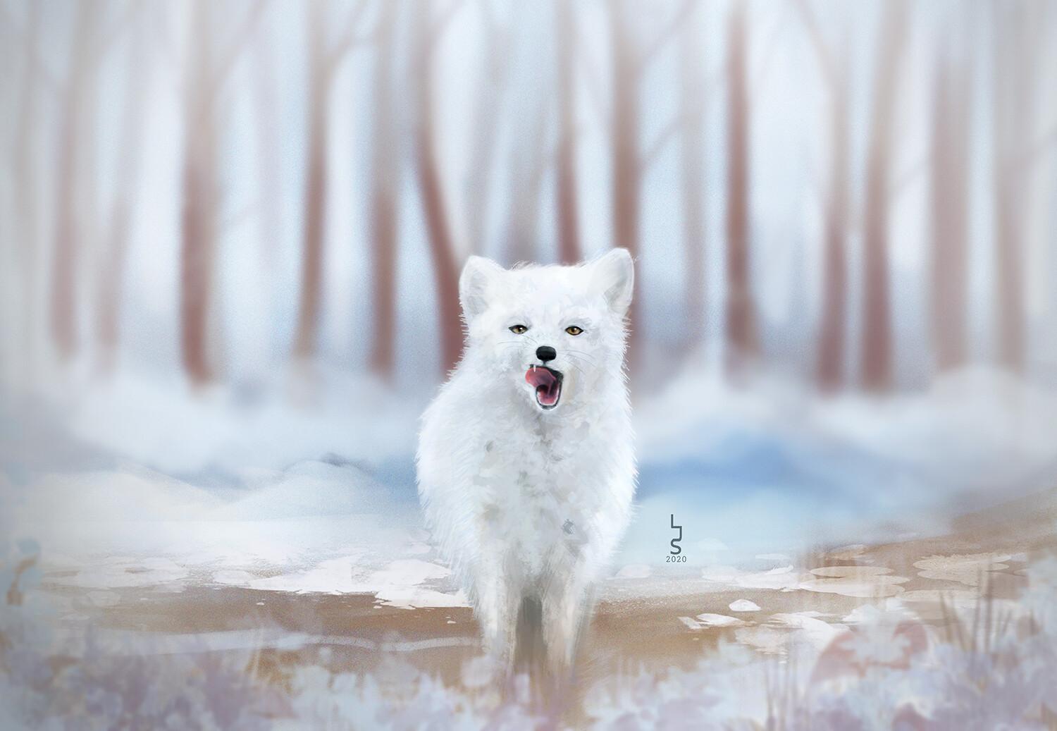 ArtStation - Arctic Fox - Study