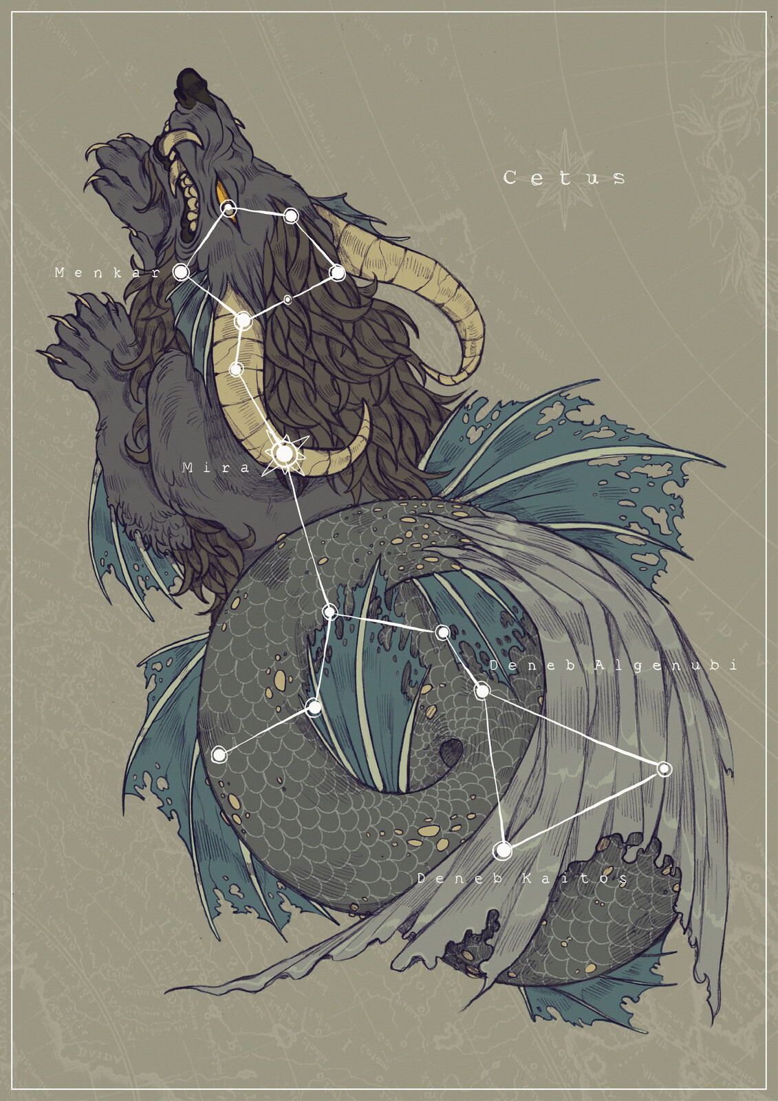 Asia Marianelli - Cetus