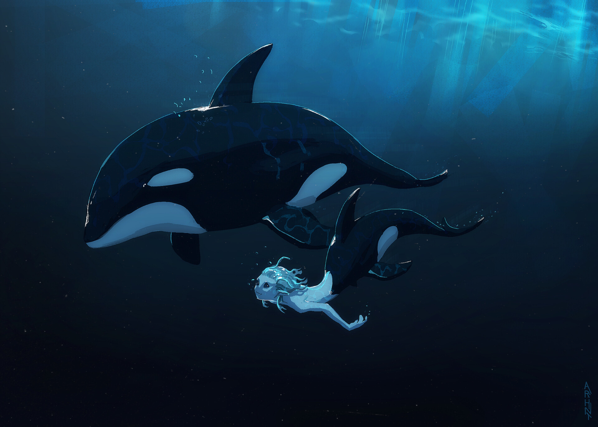 ArtStation - orca