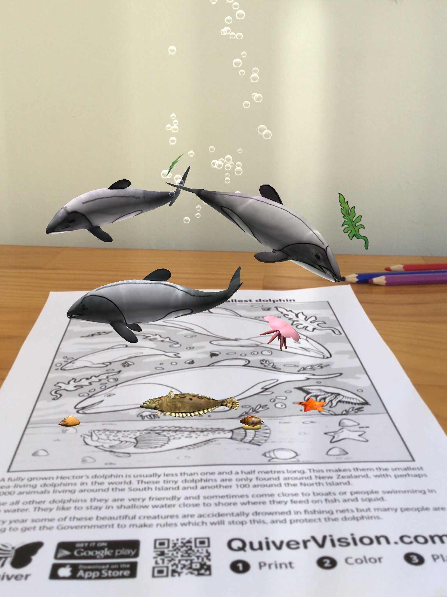 Shunsuke Fukuden - 3D AR Amazing Animals of New Zealand at QuiverVision ...