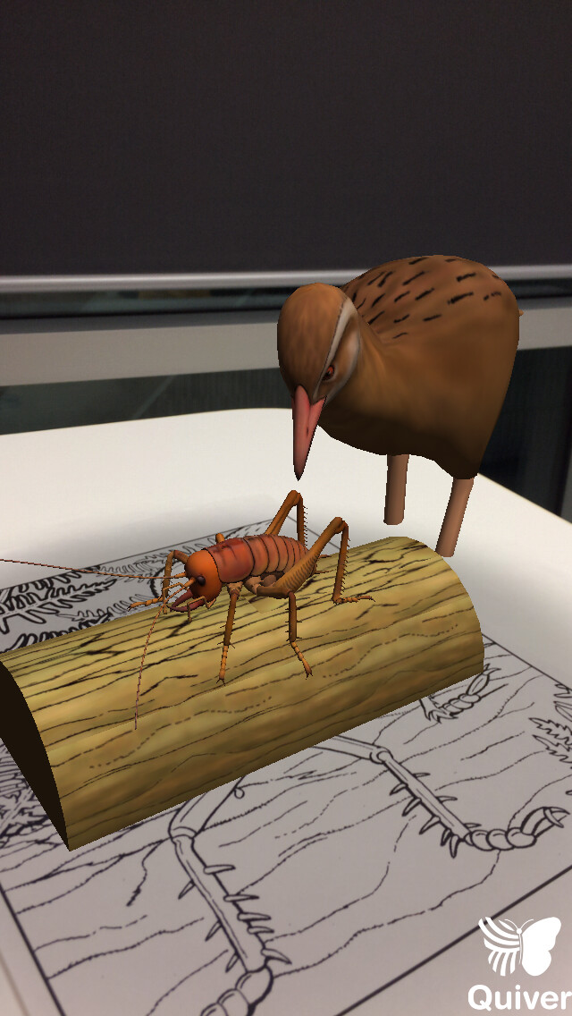 Shunsuke Fukuden - 3D AR Amazing Animals of New Zealand at QuiverVision ...