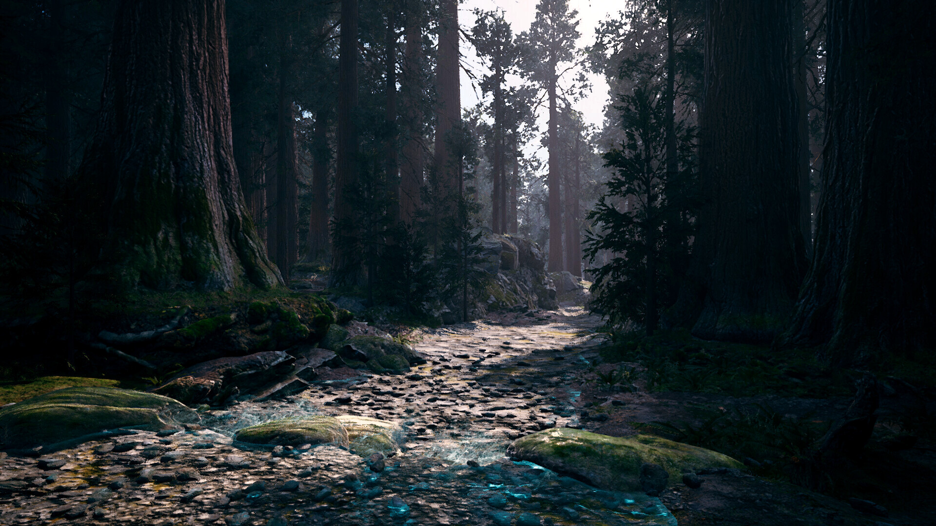 ArtStation - Redwood Forest Lighting study