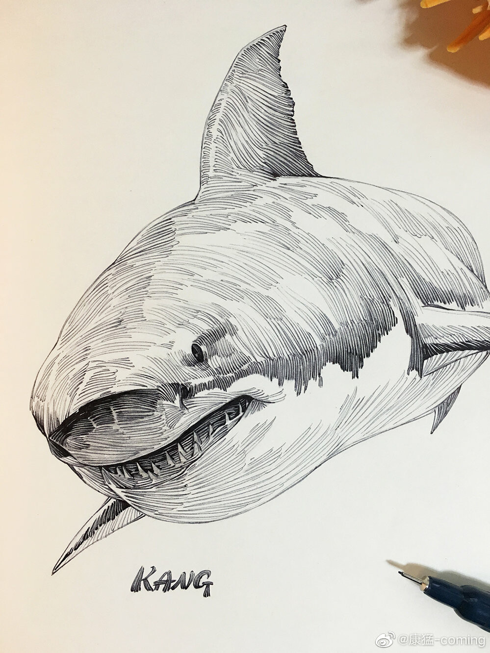 Shark Drawing In Pencil Realistic