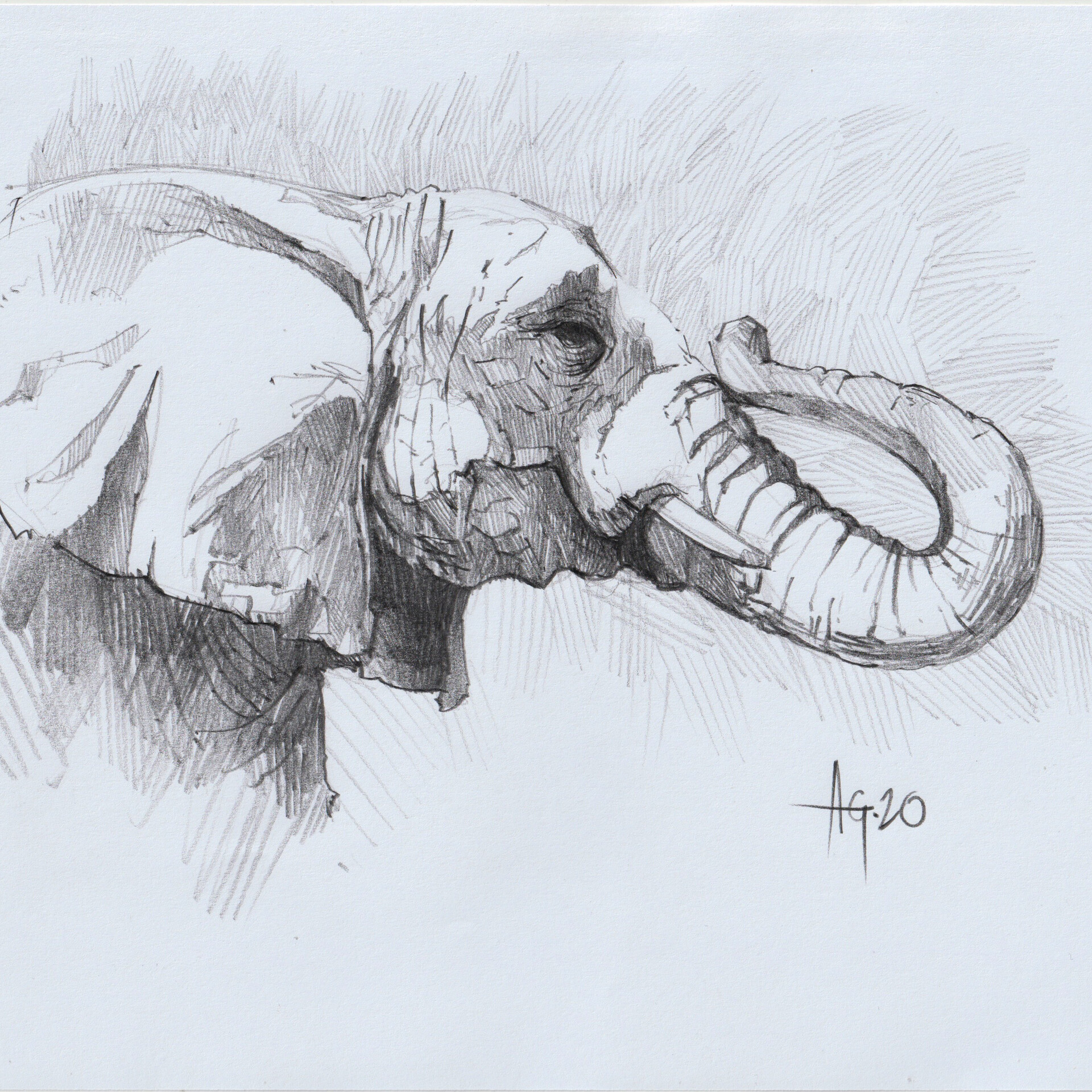 Anthony Greentree - Various hash tag themed sketches