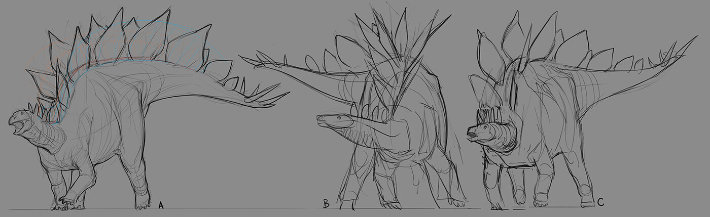 stegosaurus drawing reference