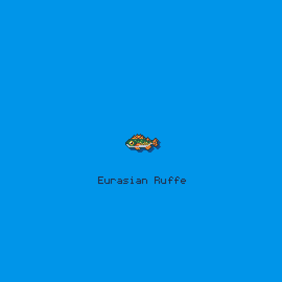 ArtStation - #pixelfish Ruffe