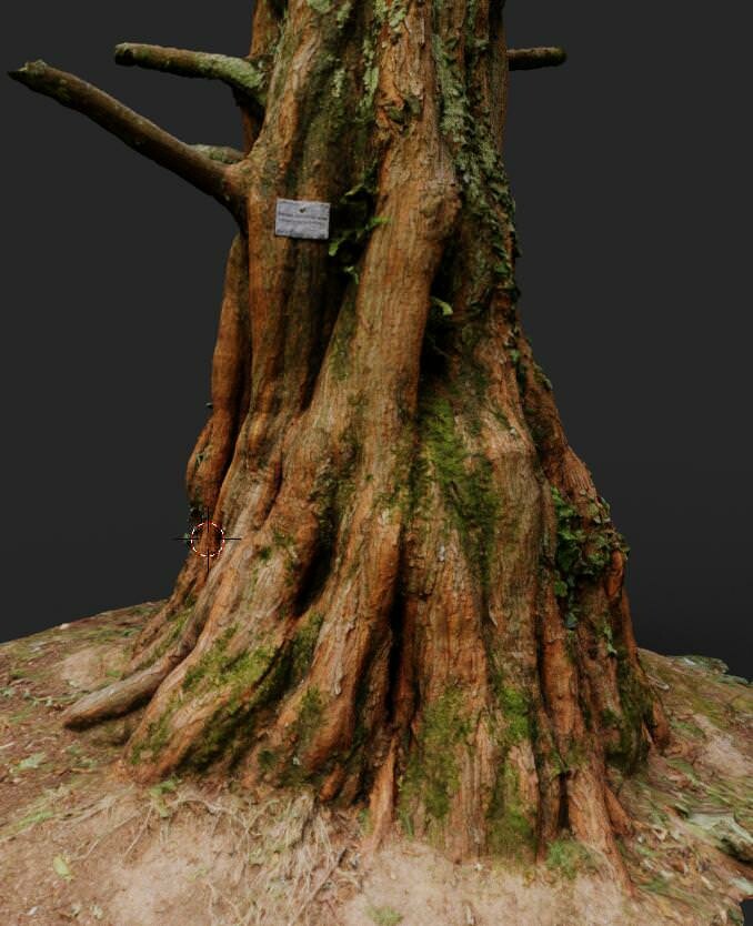 ArtStation - Photogrammetry