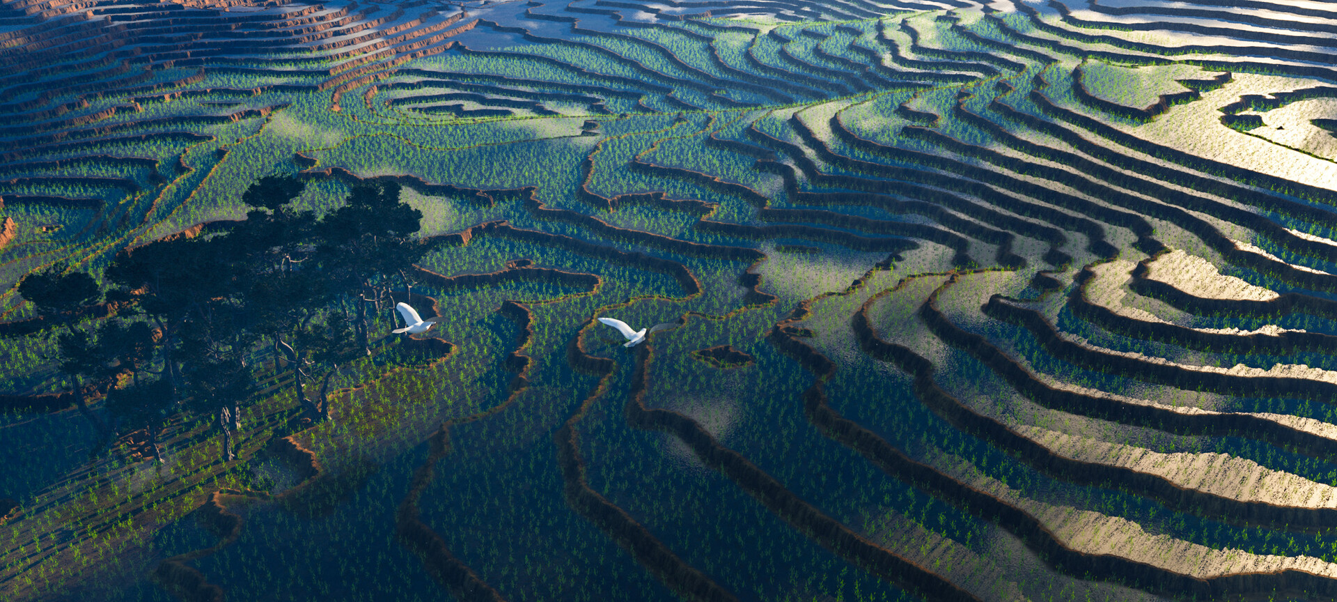 ArtStation - terraced fields