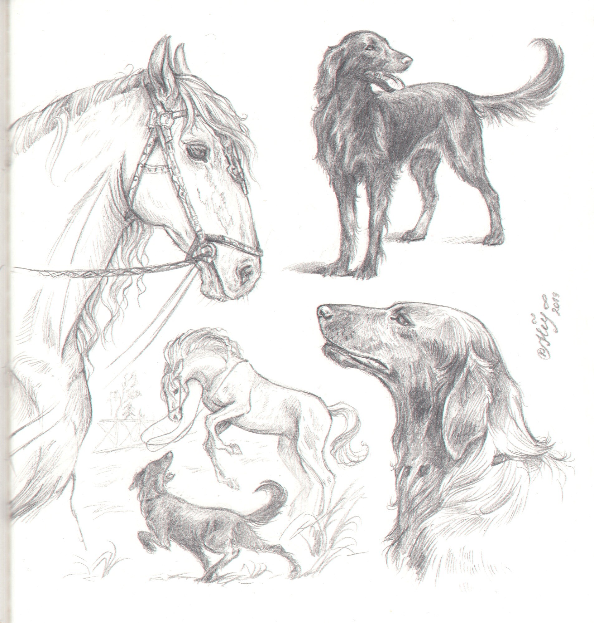 ArtStation - ~ Some for my fantasy world (2)