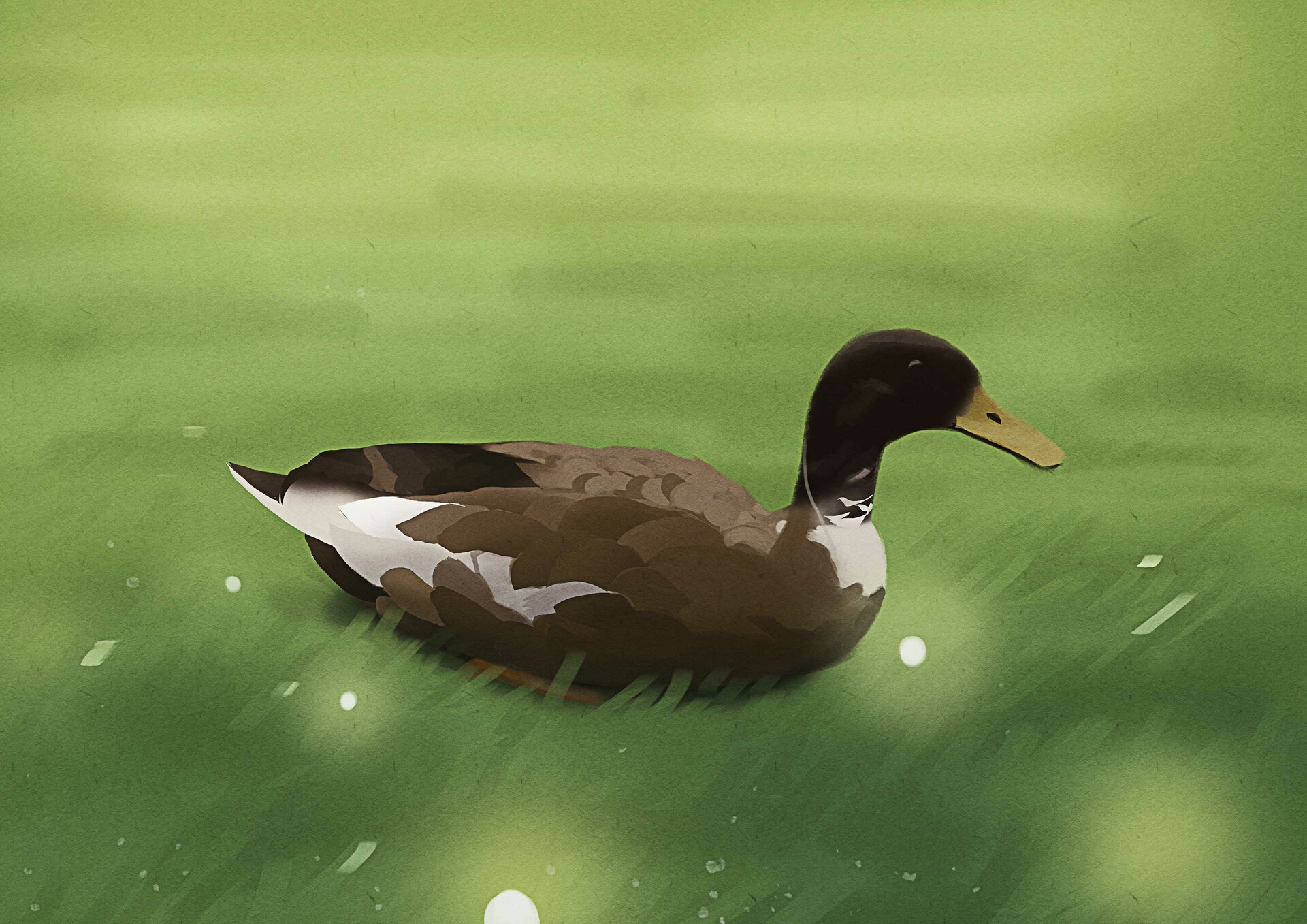 ArtStation - Duck Study
