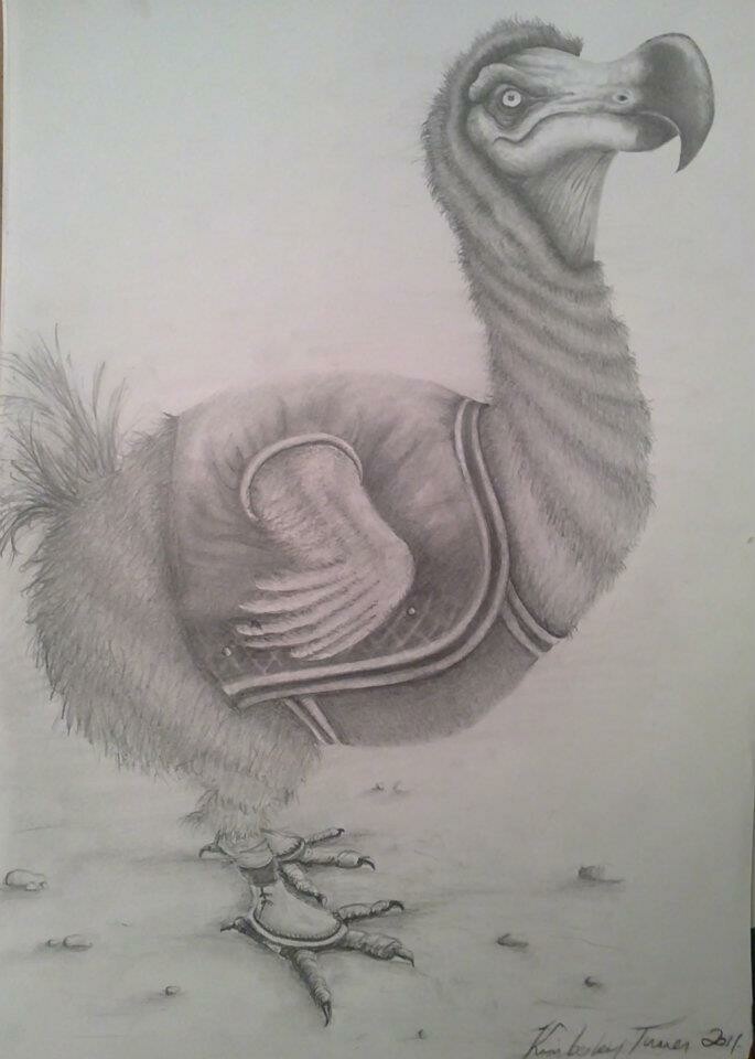 ArtStation - Dodo bird - graphite pencil