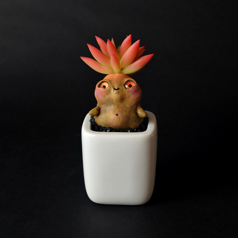 Katarzyna "Falauke" Czarna - succulent creatures