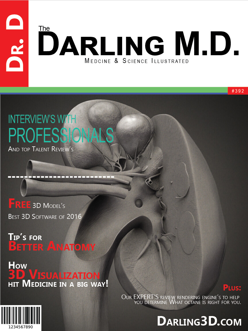 Ryan Darling - Kidney Illustration: Personal Study