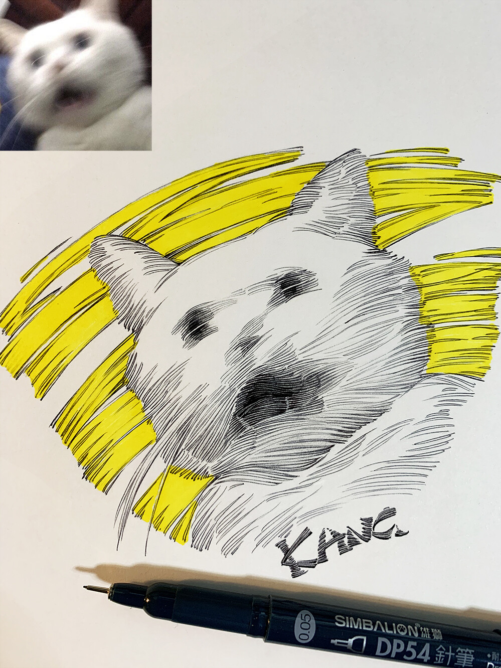 kang-meng-01-999999999999999999999999999999999.jpg (999×1332)-花瓣网