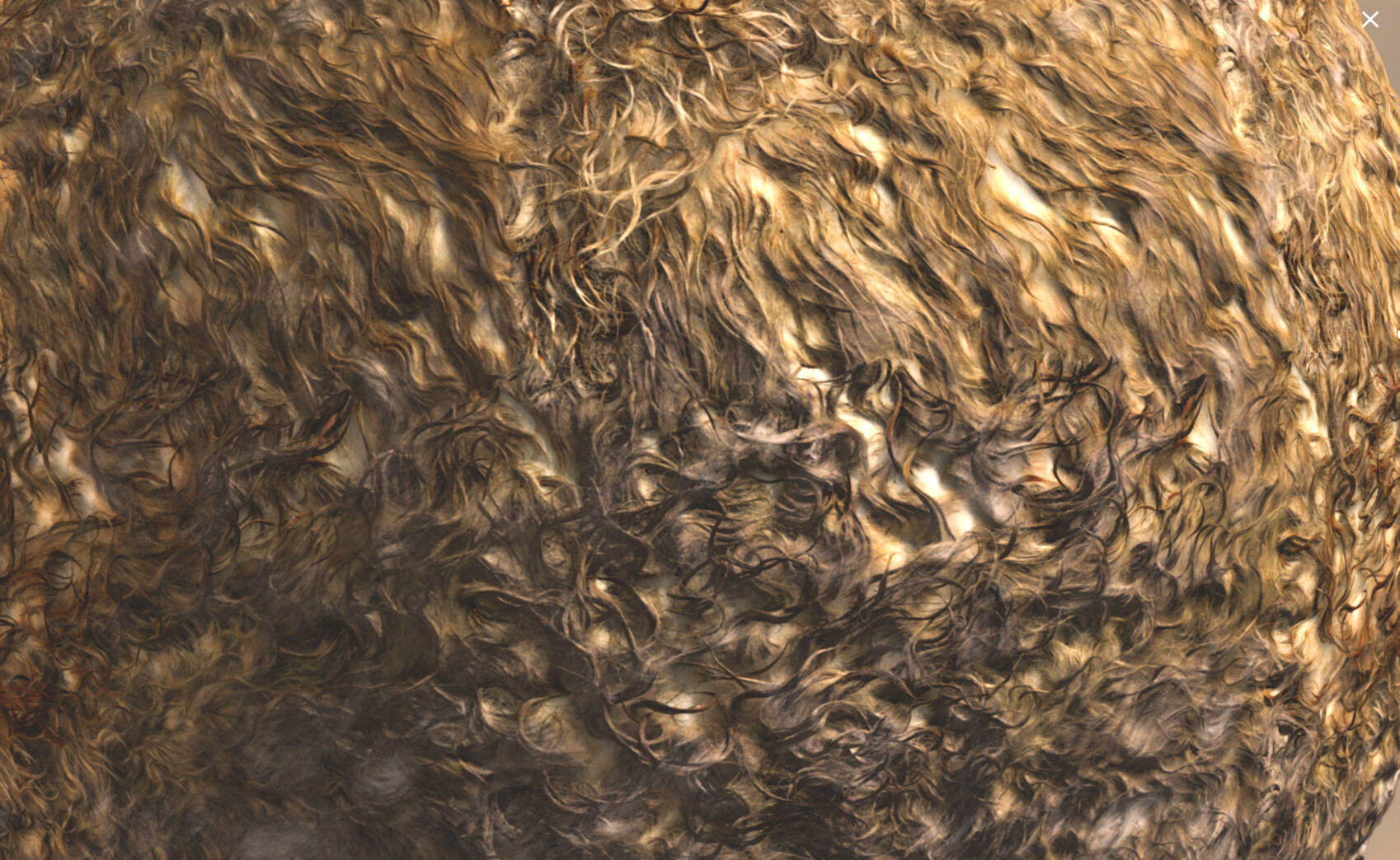 ArtStation - Fur Texture in Quixel