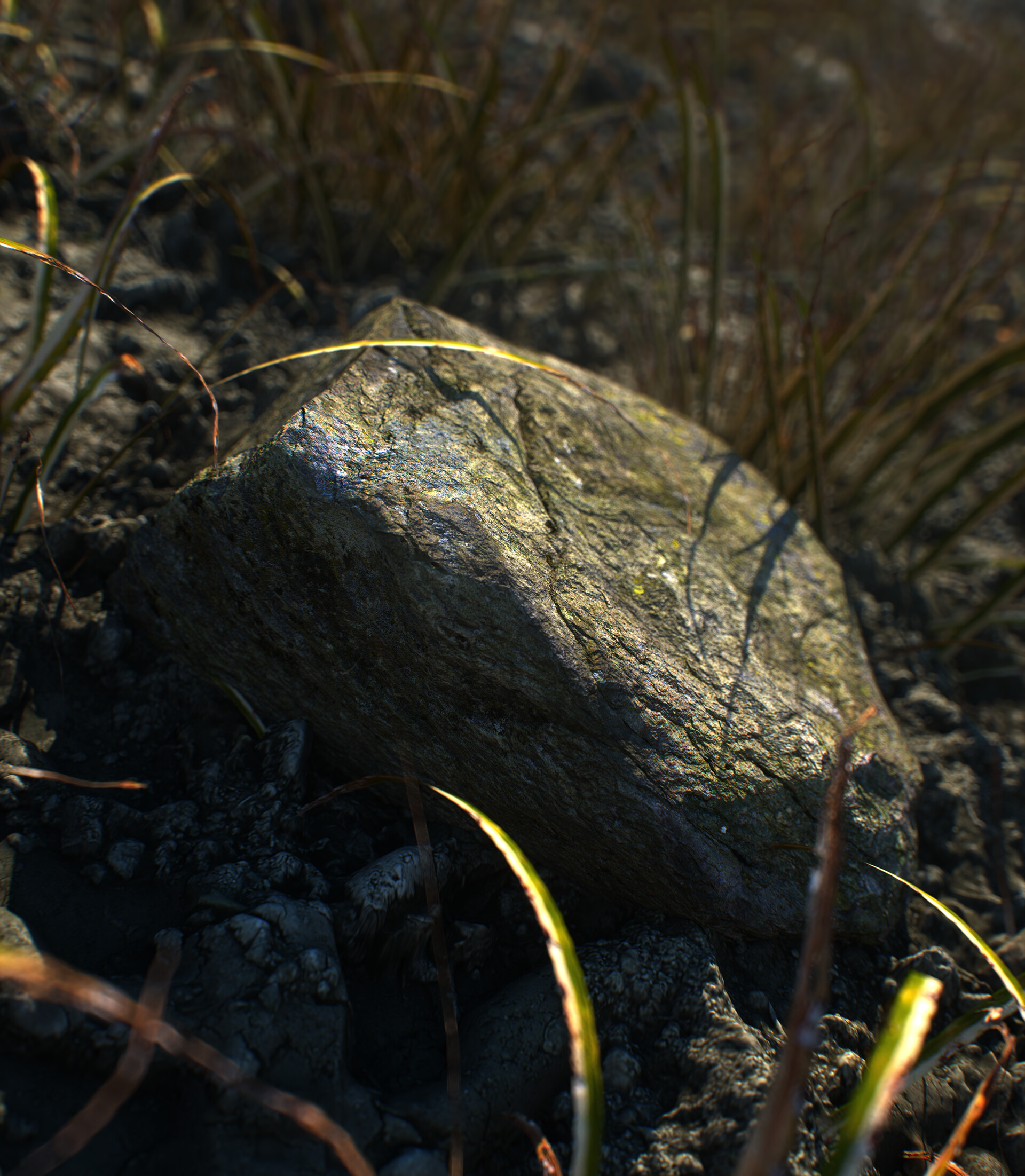 ArtStation - R O C K Y