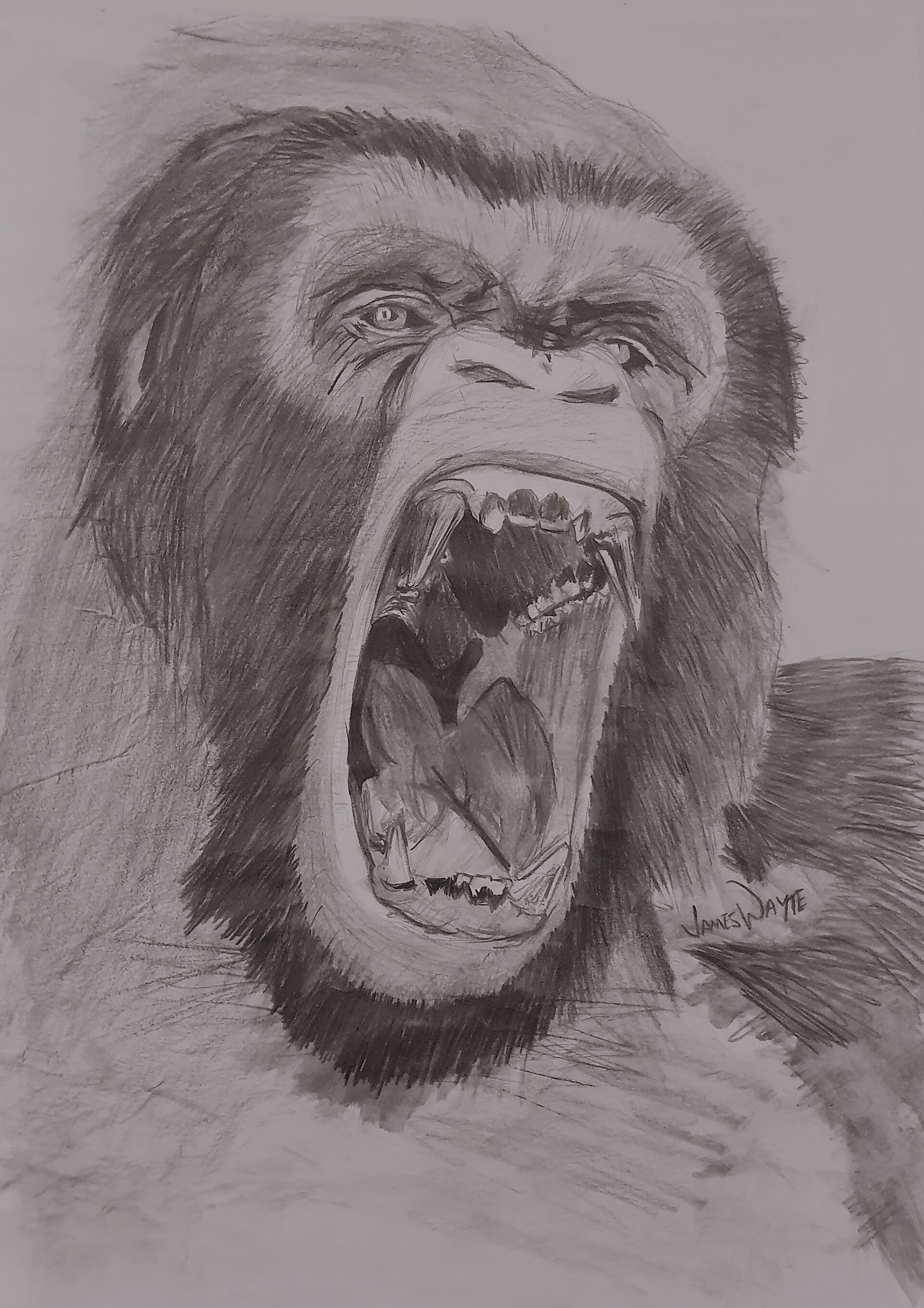 ArtStation - Silverback Gorilla