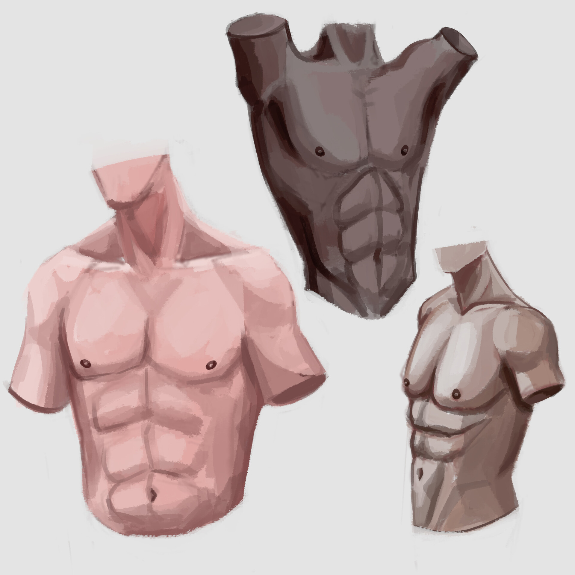 ArtStation - Male torso