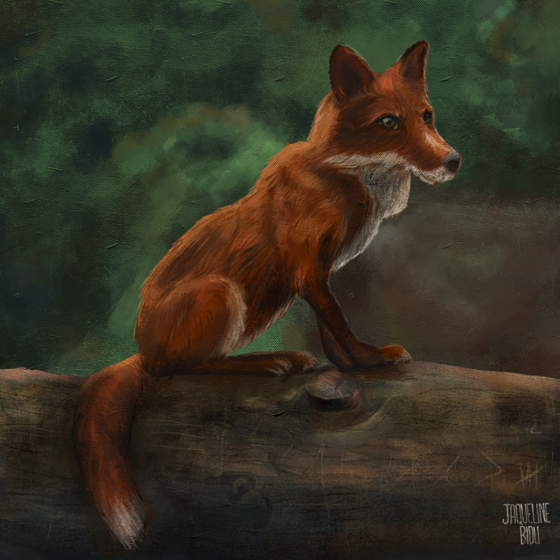 ArtStation - Fox