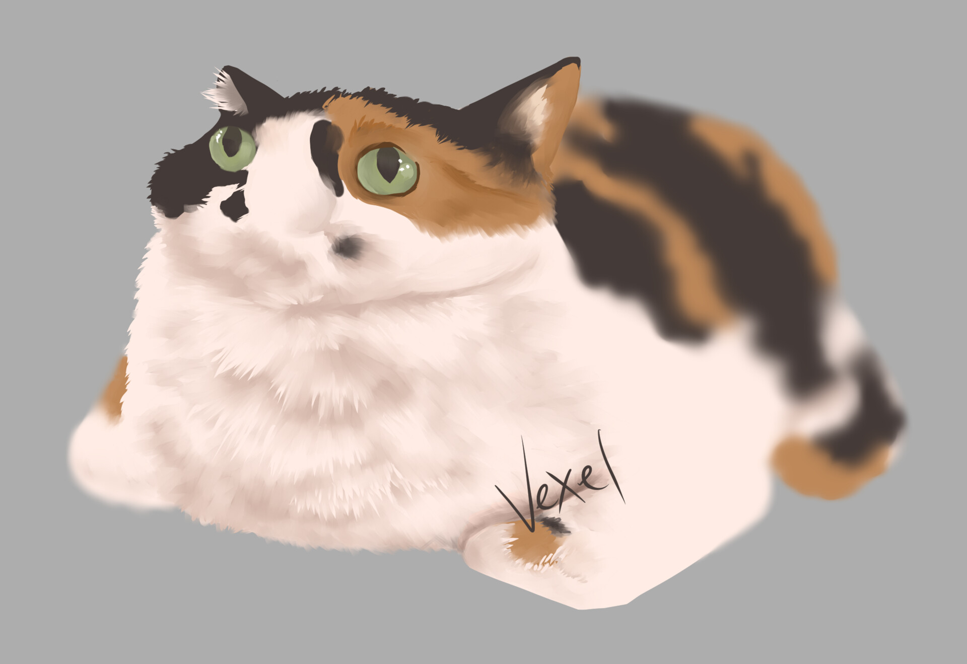 ArtStation - Panorama Cat Study