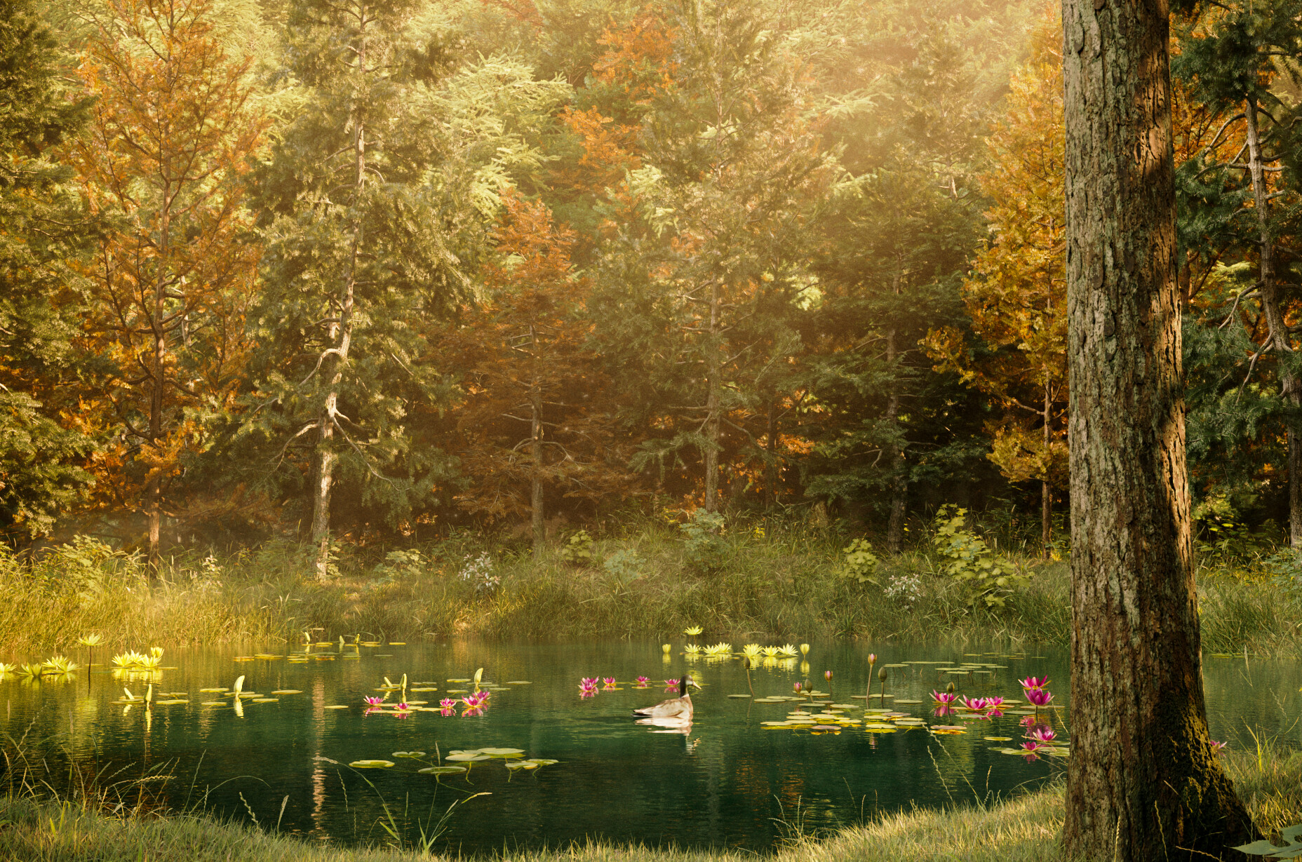 ArtStation - Cozy Forest