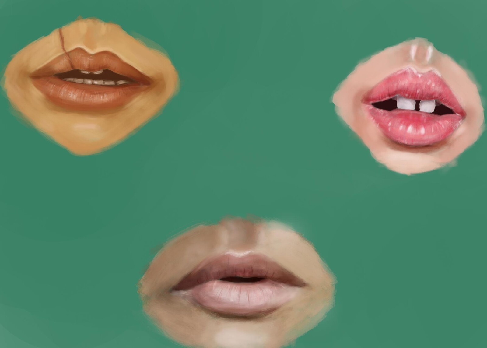 Ashley Goldstein - Mouth Anatomy Sheet