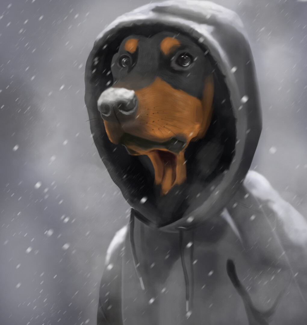 ArtStation - Winter dog portrait