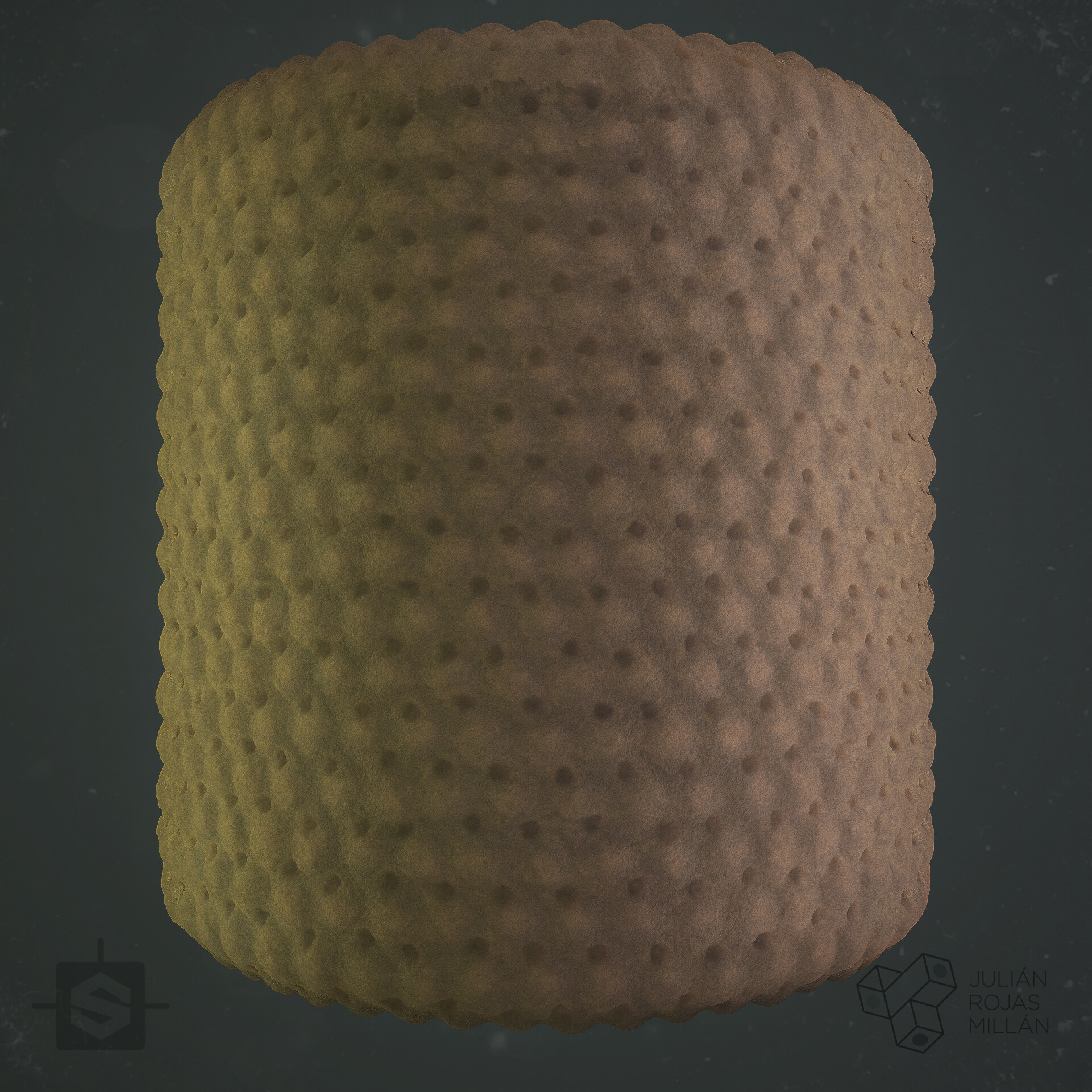 Julián Rojas Millán - Substance Designer Coral B / Free SBS file and ...