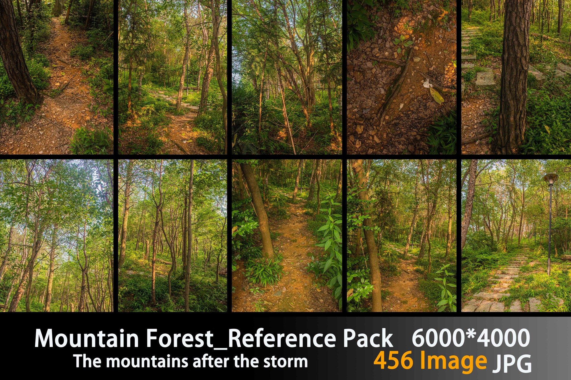 pig jio - Mountain Forest_Reference Pack