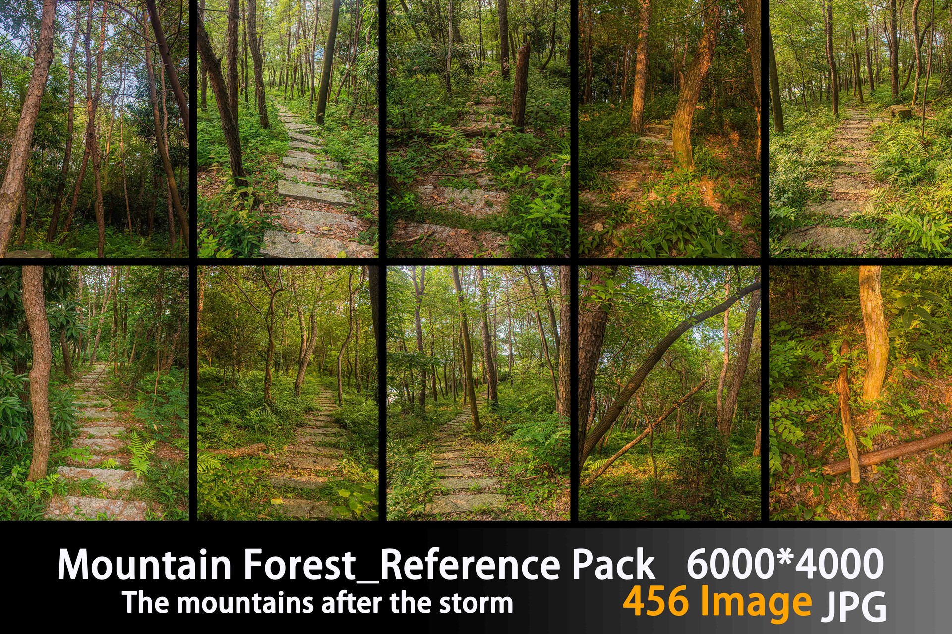 pig jio - Mountain Forest_Reference Pack