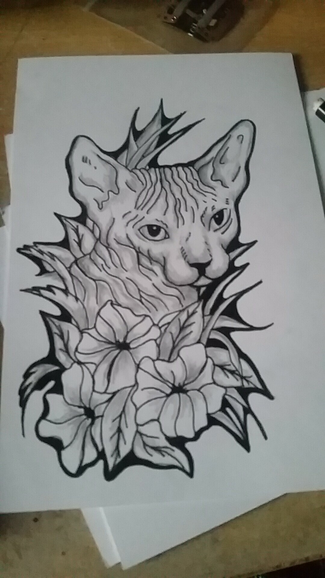 ArtStation - Hairless cat