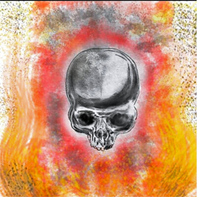 ArtStation - skull sketch (autodesk sketchbook)