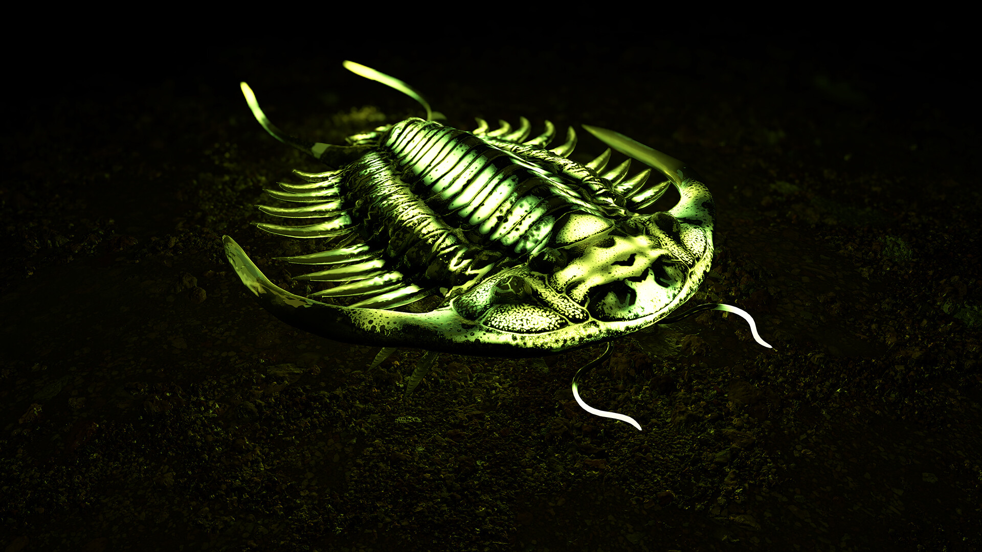 Game-Ready Studios - Trilobites