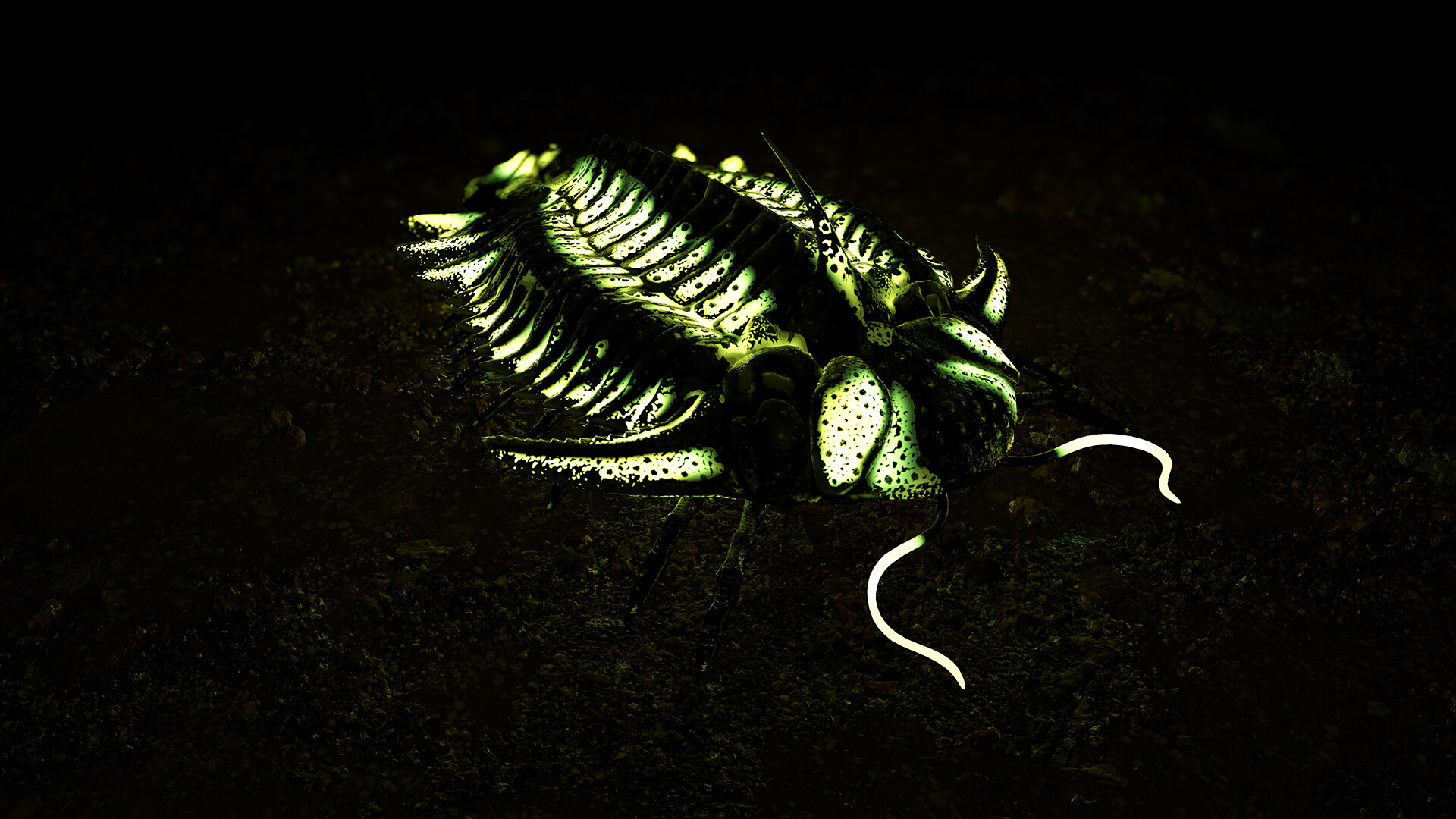 Game-Ready Studios - Trilobites