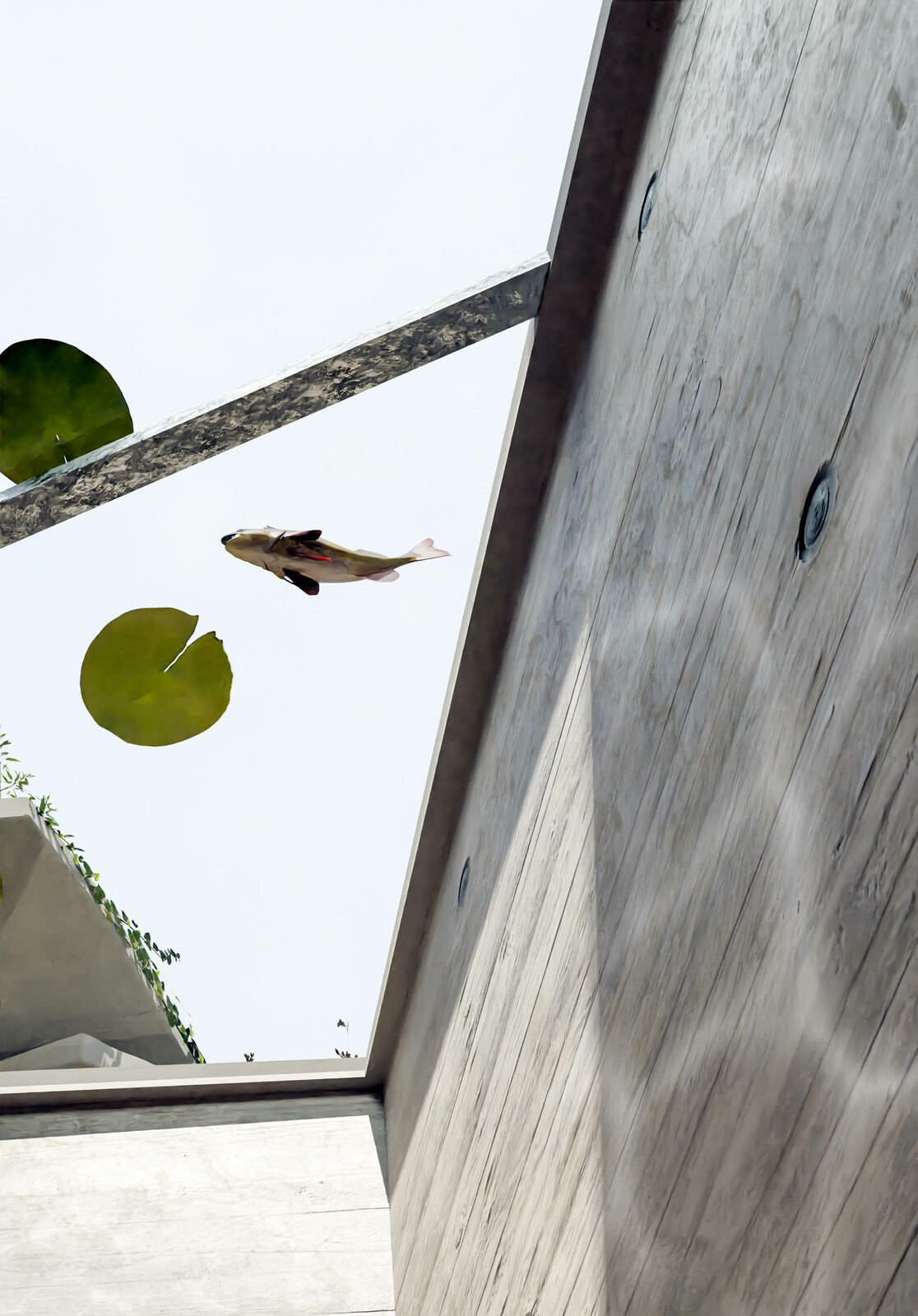 Sebastian Bellavia - Aquaculture Library Dalston - Architecture project