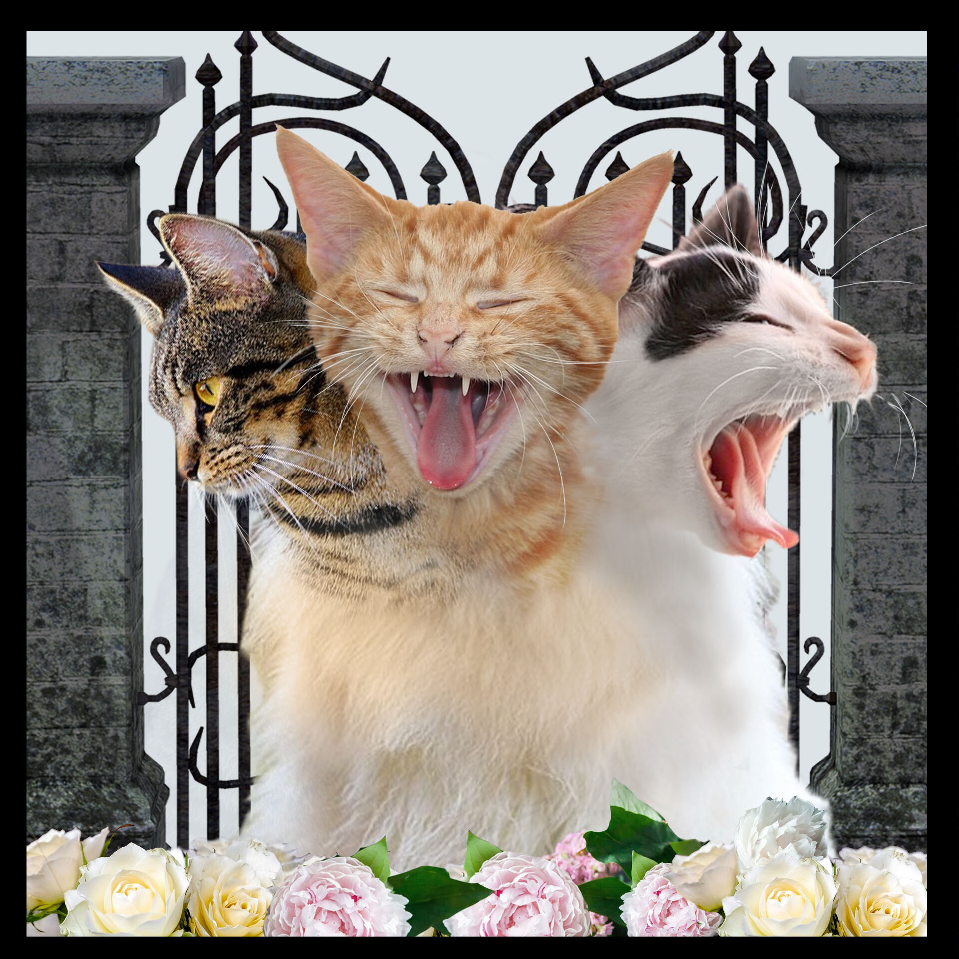 Leah I - 12 Must Have Fantastic Pets