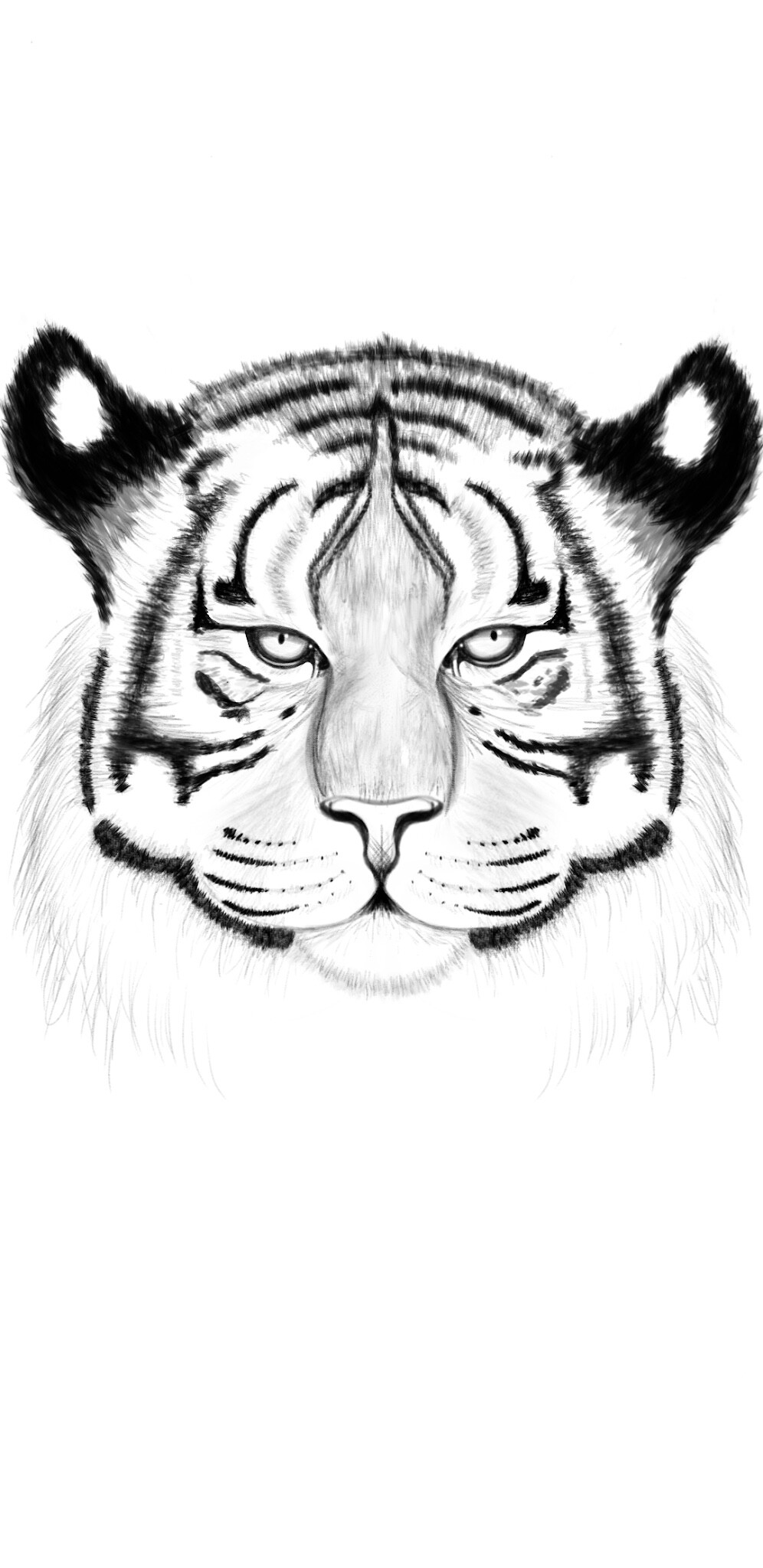 Blushing Creep - Tiger, Tiger