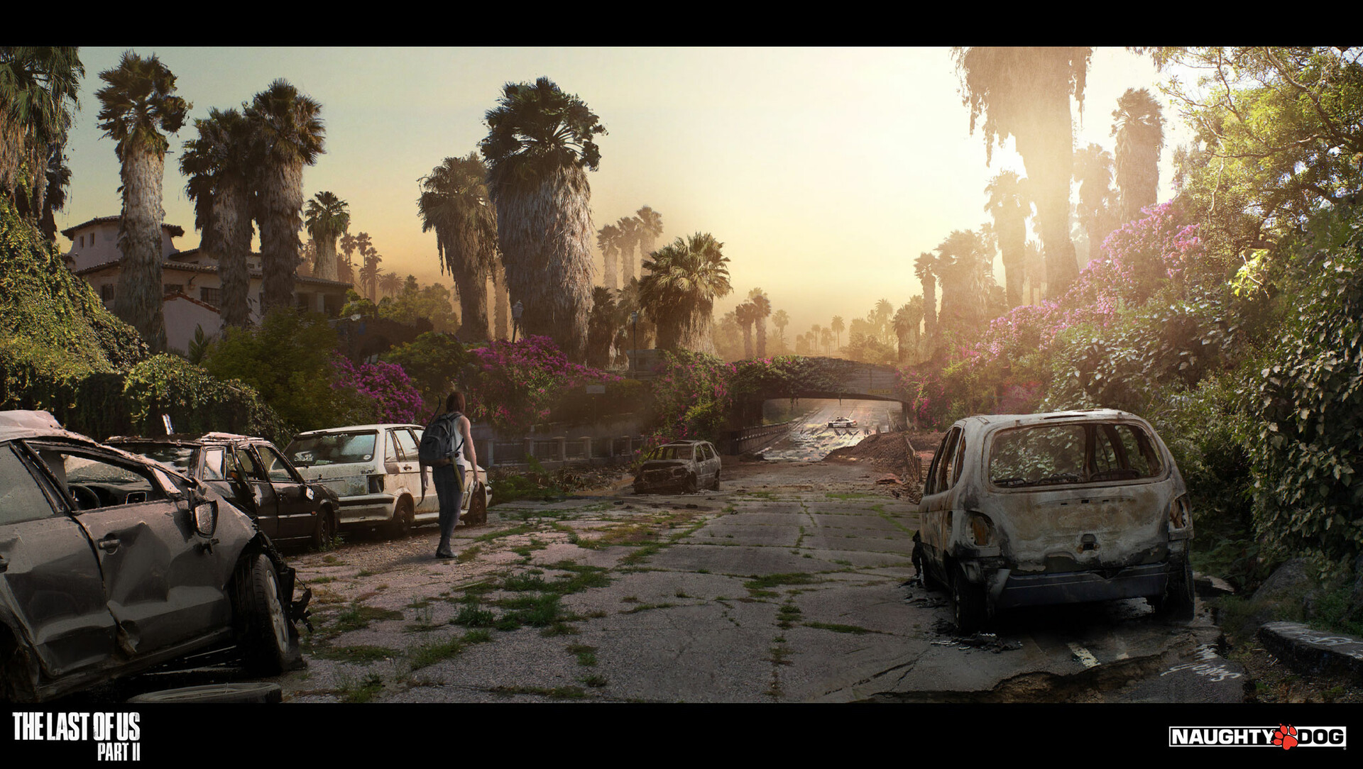 aaron-limonick-sb-bridge-downtown.jpg (1920×1084)-花瓣网