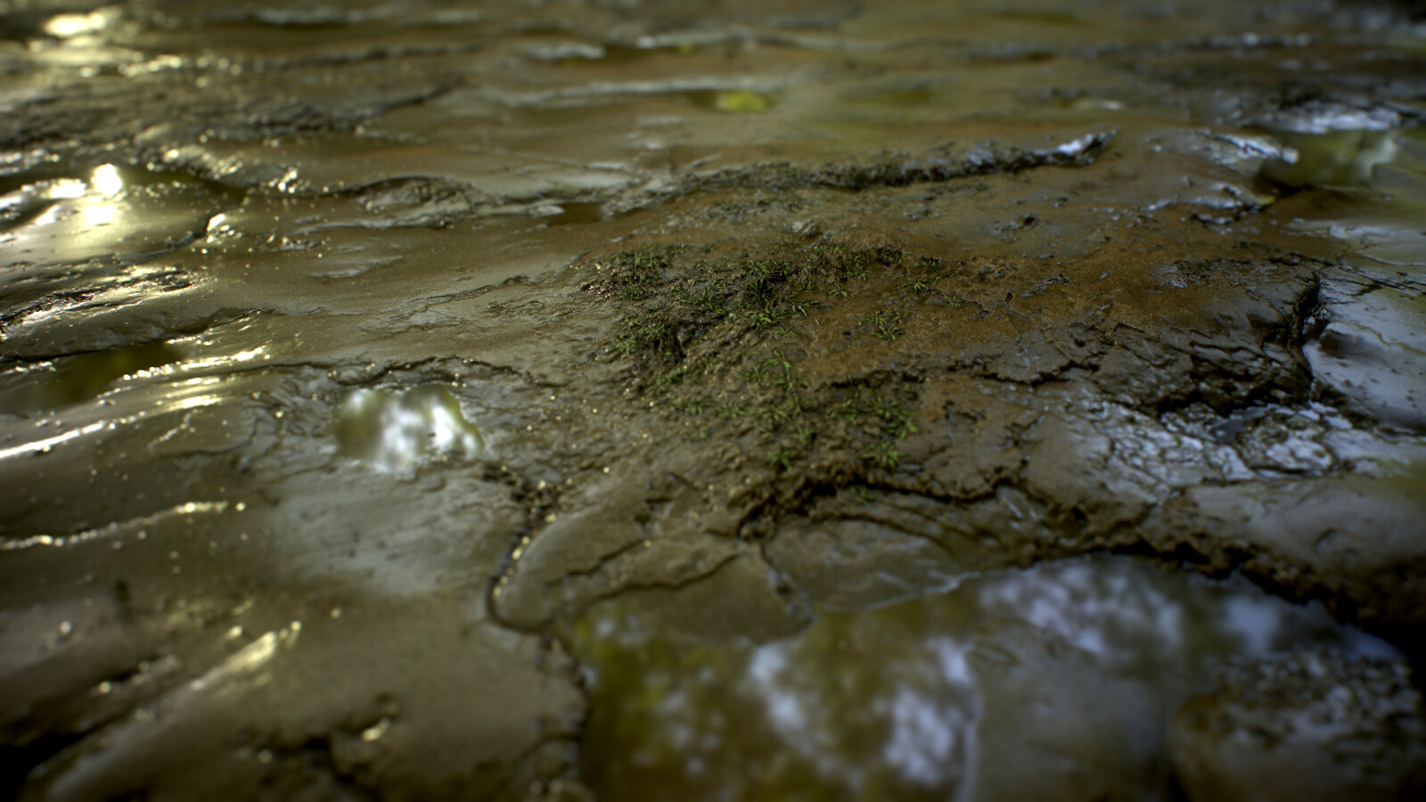 Clarence Ong - Mud Puddle Ground