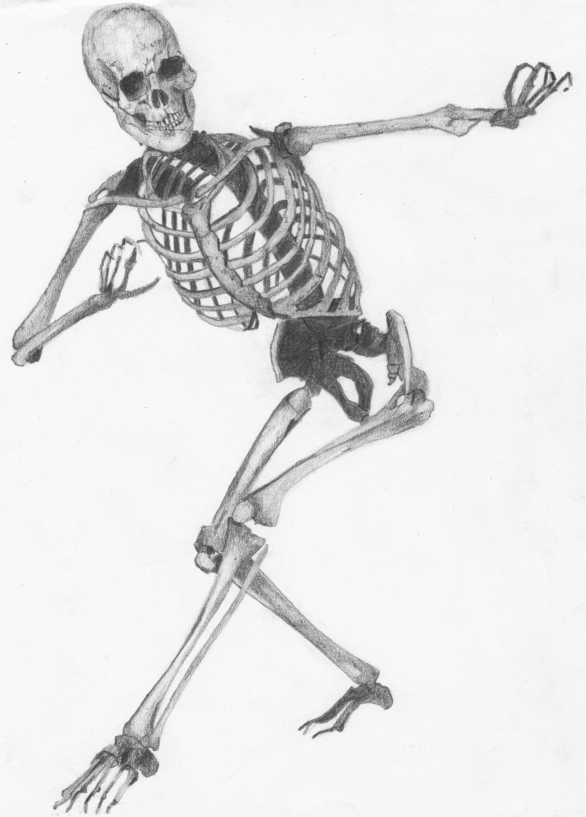 Mitchell Brkich - Skeleton