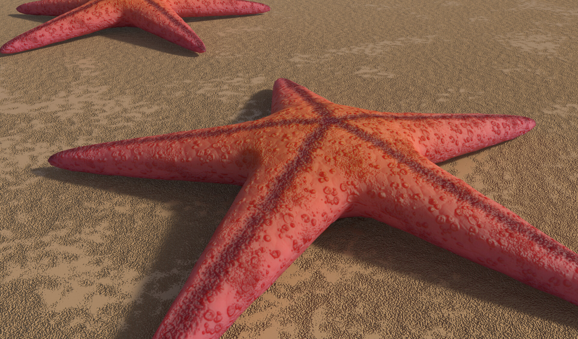 ArtStation - Weird Starfish