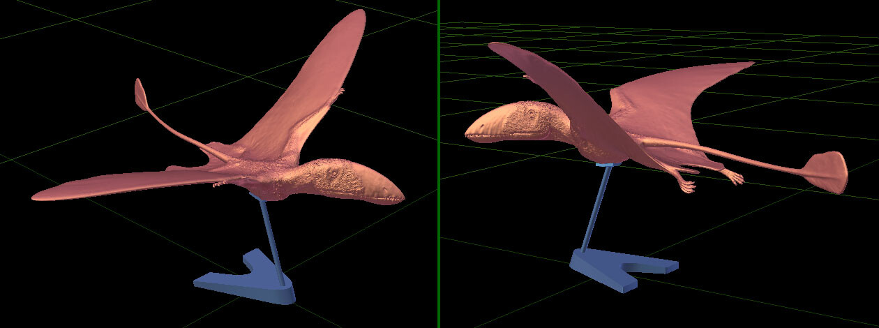DinoReplicas - 3D Model Works - 3D Printed Dimorphodon Model