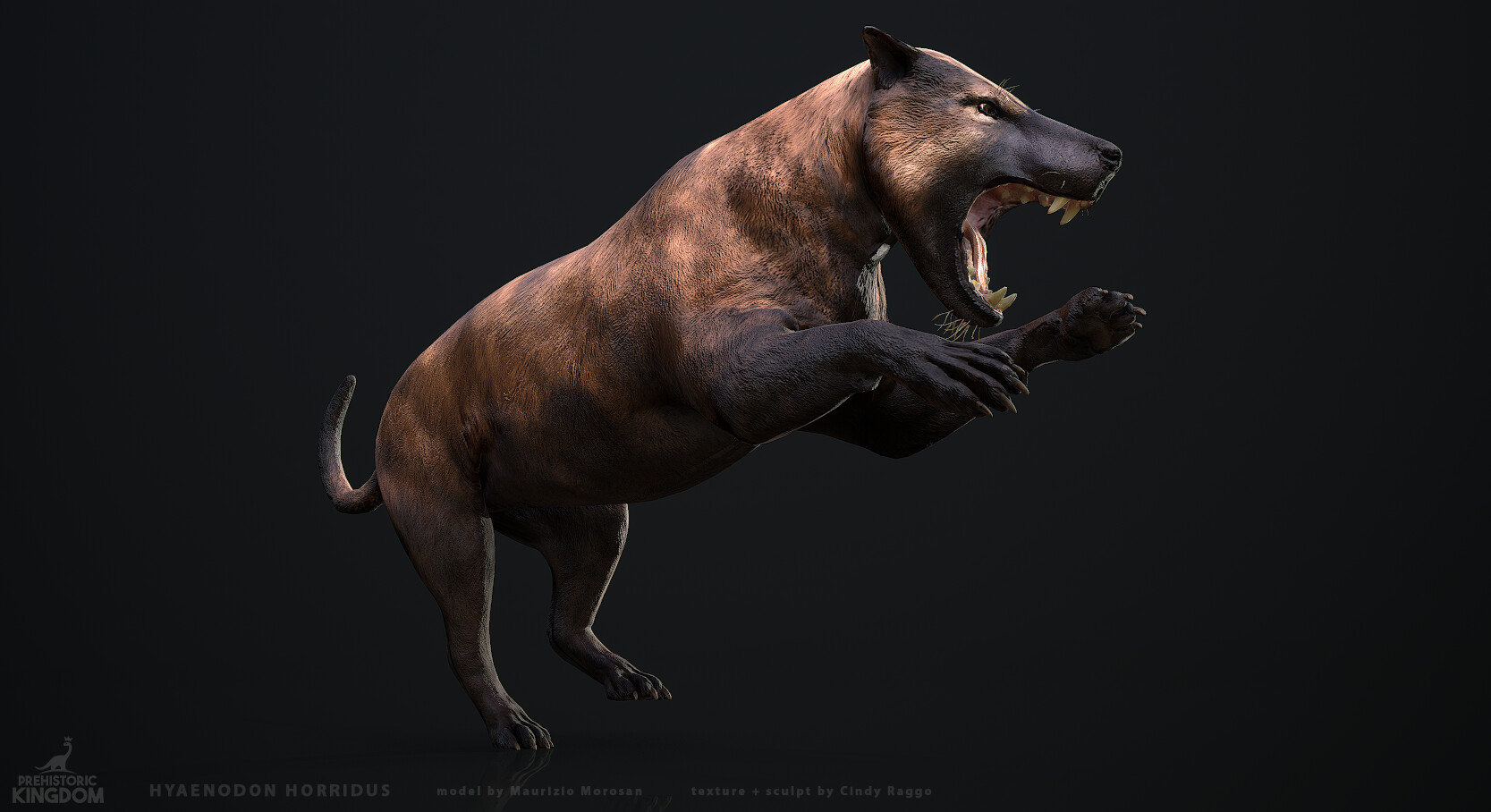 hyaenodon horridus