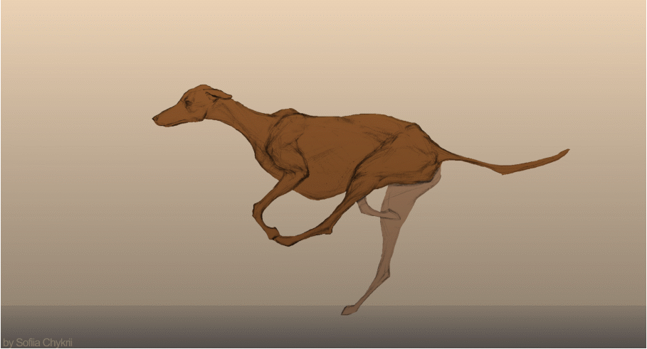 dog running animation reference